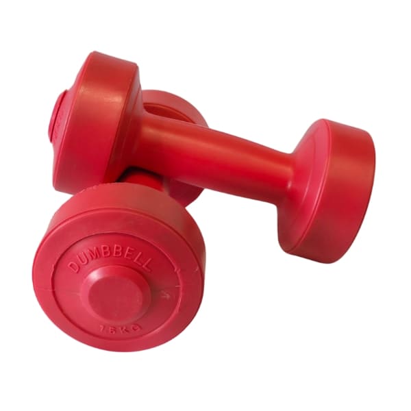 1.5kg Vinyl Dumbell Set - JR White